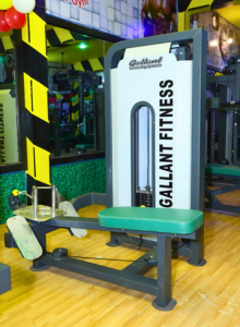 Seated Rowing Machine – Gallant Fitness Equipments